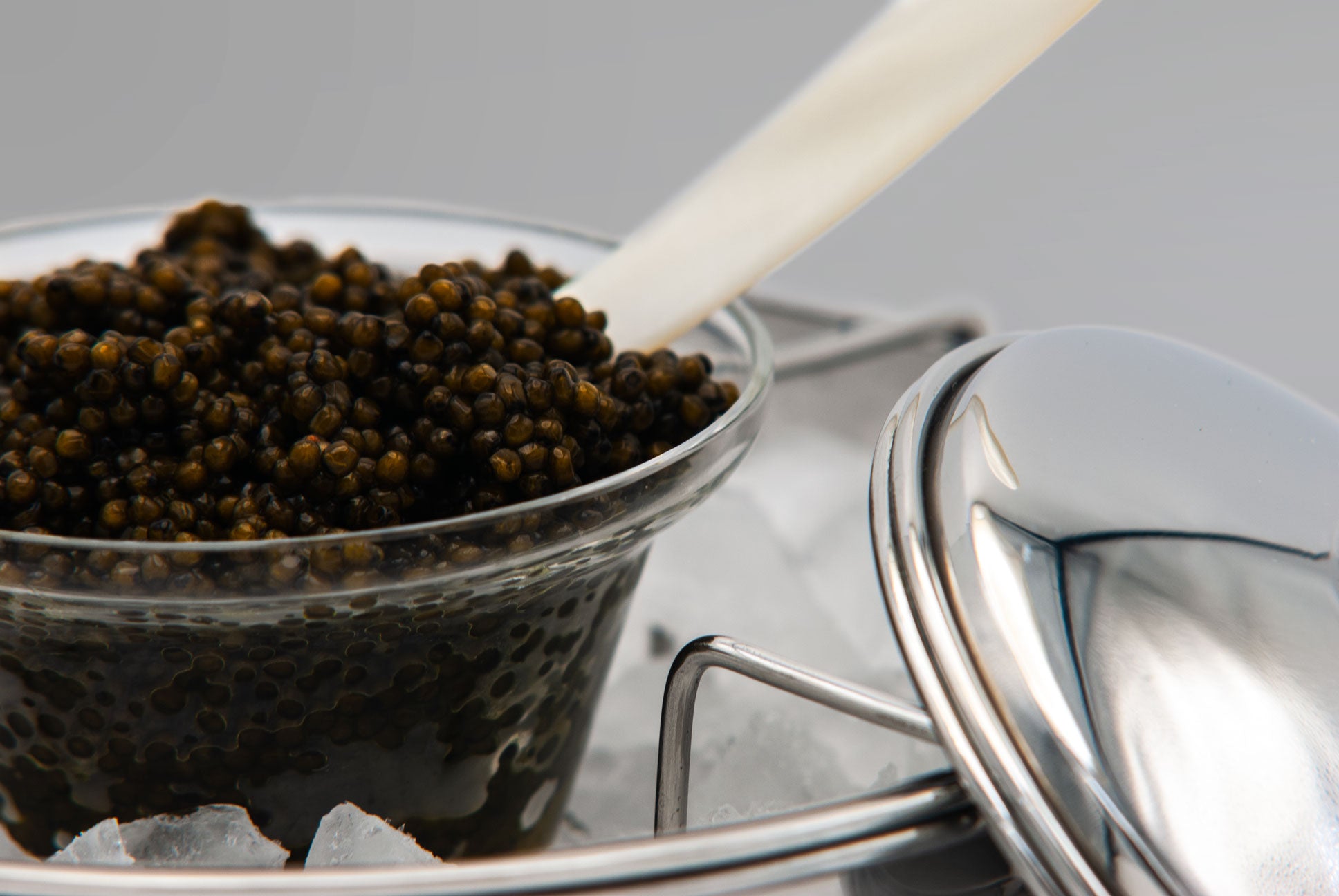 How Much Caviar is Too Much Caviar...? – Caviar Express, Inc.