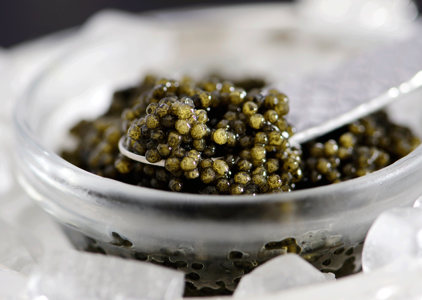 Caviar Express – Caviar Express, Inc.